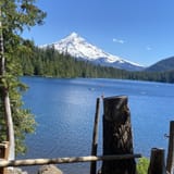 Lost Lake Loop (Lakeshore Trail), Oregon - 632 Reviews, Map | AllTrails
