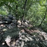 Kelly's Run Loop Trail, Pennsylvania - 3,763 Reviews, Map | AllTrails