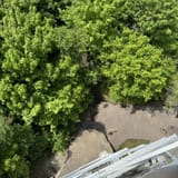 Mount Arab Trail, New York - 2,400 Reviews, Map | AllTrails