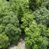 Mount Arab Trail, New York - 2,400 Reviews, Map | AllTrails