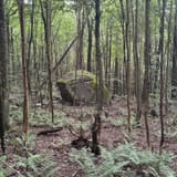 Mount Arab Trail, New York - 2,400 Reviews, Map | AllTrails