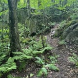 Mount Arab Trail, New York - 2,400 Reviews, Map | AllTrails