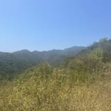 Inspiration Point Loop, California - 5,048 Reviews, Map | AllTrails