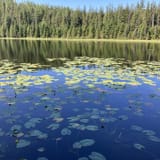 Fish Lake, Montana - 596 Reviews, Map | AllTrails