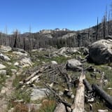 Lake Margaret Trail, California - 1,082 Reviews, Map | AllTrails