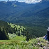 Wind Ridge Trail, Alberta, Canada - 1,303 Reviews, Map | AllTrails