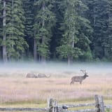 James Irvine Trail, California - 1,822 Reviews, Map | AllTrails