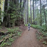 James Irvine Trail, California - 1,822 Reviews, Map | AllTrails