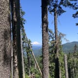 Top Spur and Timberline Loop, Oregon - 800 Reviews, Map | AllTrails