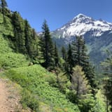 Top Spur and Timberline Loop, Oregon - 800 Reviews, Map | AllTrails