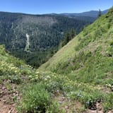 Top Spur and Timberline Loop, Oregon - 800 Reviews, Map | AllTrails
