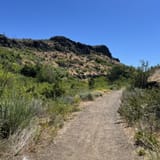 Cowiche Canyon Trail, Washington - 672 Reviews, Map | AllTrails