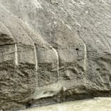 Castner Glacier Trail, Alaska - 724 Reviews, Map | AllTrails