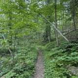 Pyramid Point Loop, Michigan - 1,199 Reviews, Map | AllTrails