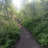 Heart Creek Trail, Alberta, Canada - 3,570 Reviews, Map | AllTrails