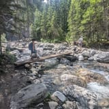 Heart Creek Trail, Alberta, Canada - 3,600 Reviews, Map | AllTrails