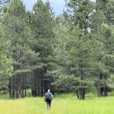 Empire Mine via Samelius Trailhead, South Dakota - 374 Reviews, Map ...