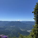 Mount Teneriffe via Mount Teneriffe Trailhead, Washington - 363 Reviews ...