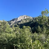 Neff's Canyon Loop, Utah - 3,069 Reviews, Map | AllTrails
