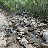 Neff's Canyon Loop, Utah - 3,069 Reviews, Map | AllTrails