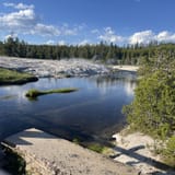 Old Faithful Geyser Loop Trail, Montana - 979 Reviews, Map | AllTrails