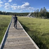 Old Faithful Geyser Loop Trail, Montana - 979 Reviews, Map | AllTrails