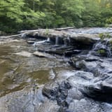 Meadow Run Trail, Pennsylvania - 1,275 Reviews, Map | AllTrails
