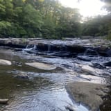 Meadow Run Trail, Pennsylvania - 1,275 Reviews, Map | AllTrails