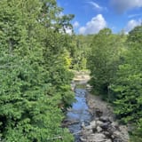 Meadow Run Trail, Pennsylvania - 1,225 Reviews, Map | AllTrails