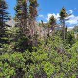French Pass Trail, Colorado - 440 Reviews, Map | AllTrails