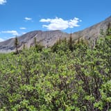 French Pass Trail, Colorado - 440 Reviews, Map | AllTrails