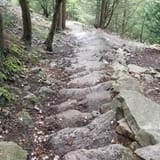 Thousand Steps, Pennsylvania - 1,320 Reviews, Map | AllTrails