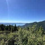 Mount Walker, Washington - 2,215 Reviews, Map | AllTrails