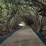 Ke Ala Hele Makalae (Kauai Multiuse Path), Kaua'i, Hawaii - 828 Reviews ...