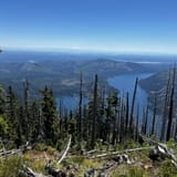 Mount Rose Trail, Washington - 1,393 Reviews, Map | AllTrails