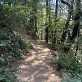 Hedge Creek Falls, California - 1,383 Reviews, Map | AllTrails