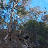 Burchell Trail: Friday's to Old Mill Campground, Victoria, Australia ...