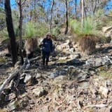 Burchell Trail: Friday's to Old Mill Campground, Victoria, Australia ...