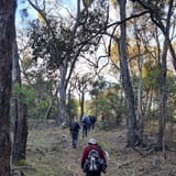 Burchell Trail: Friday's to Old Mill Campground, Victoria, Australia ...