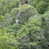 Kinlochmore and Kinlochleven Circular, Highlands, Scotland - 6 Reviews ...