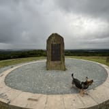 Old Pale Hill and Delamere Forest, Cheshire, England - 1,041 Reviews ...