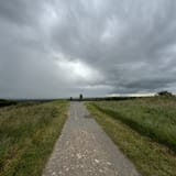 Old Pale Hill and Delamere Forest, Cheshire, England - 1,041 Reviews ...