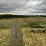 Old Pale Hill and Delamere Forest, Cheshire, England - 1,041 Reviews ...