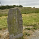 Old Pale Hill and Delamere Forest, Cheshire, England - 1,039 Reviews ...