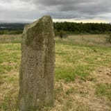 Old Pale Hill and Delamere Forest, Cheshire, England - 1,041 Reviews ...