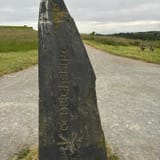 Old Pale Hill and Delamere Forest, Cheshire, England - 1,041 Reviews ...