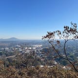 Wonderboom Hiking Trail, Gauteng, South Africa - 129 Reviews, Map ...