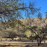 Wonderboom Hiking Trail, Gauteng, South Africa - 129 Reviews, Map ...