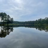 Choctaw Lake Recreation Area Loop, Mississippi - 141 Reviews, Map ...