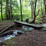 Morrison and Rimrock Trail Loop, Pennsylvania - 546 Reviews, Map ...